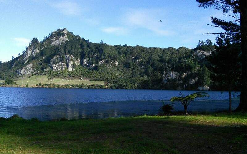 Whakamaru Reserve | Freedom/Basic Camp | New Zealand